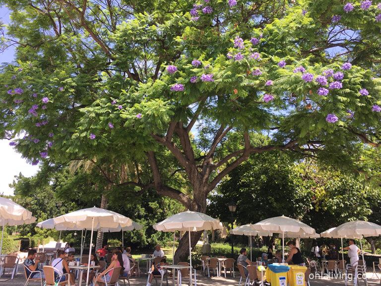 Parks And Nature Attractions in Valencia - Jardines del Real