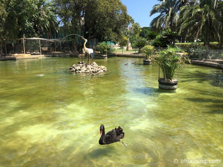 Parks And Nature Attractions in Valencia - Jardines del Real