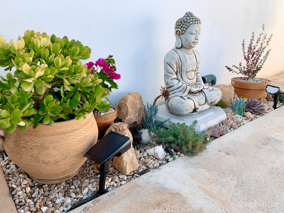 Elevate Your Space with a Blissful Succulent Zen Garden: DIY Weekend ...