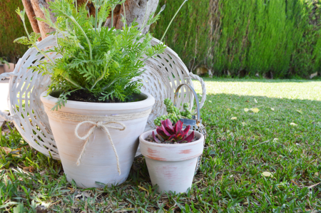 DIY Rustic Terracotta Pots: Transform with Chalk Paint