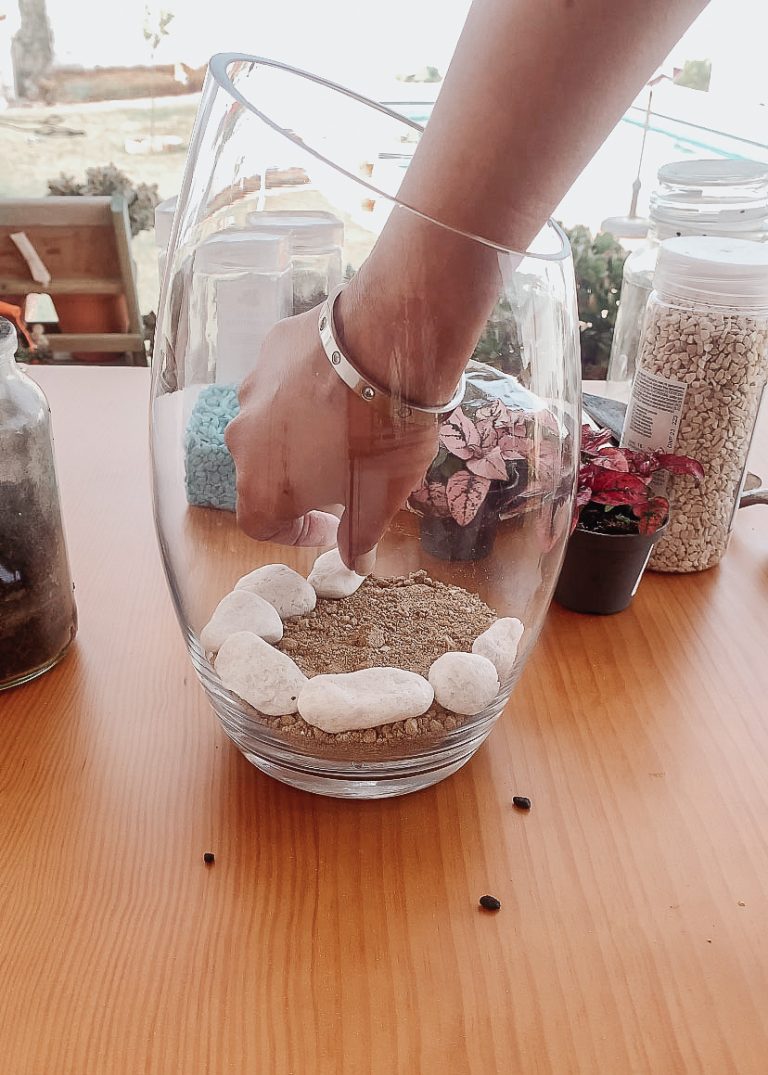 5 Easy Steps How To Make A Terrarium In A Jar or Vase